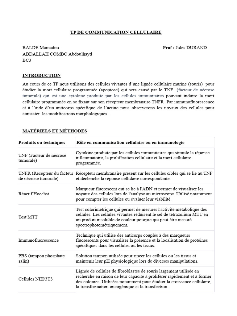TP COMMUNICATION CELLULAIRE | PDF
