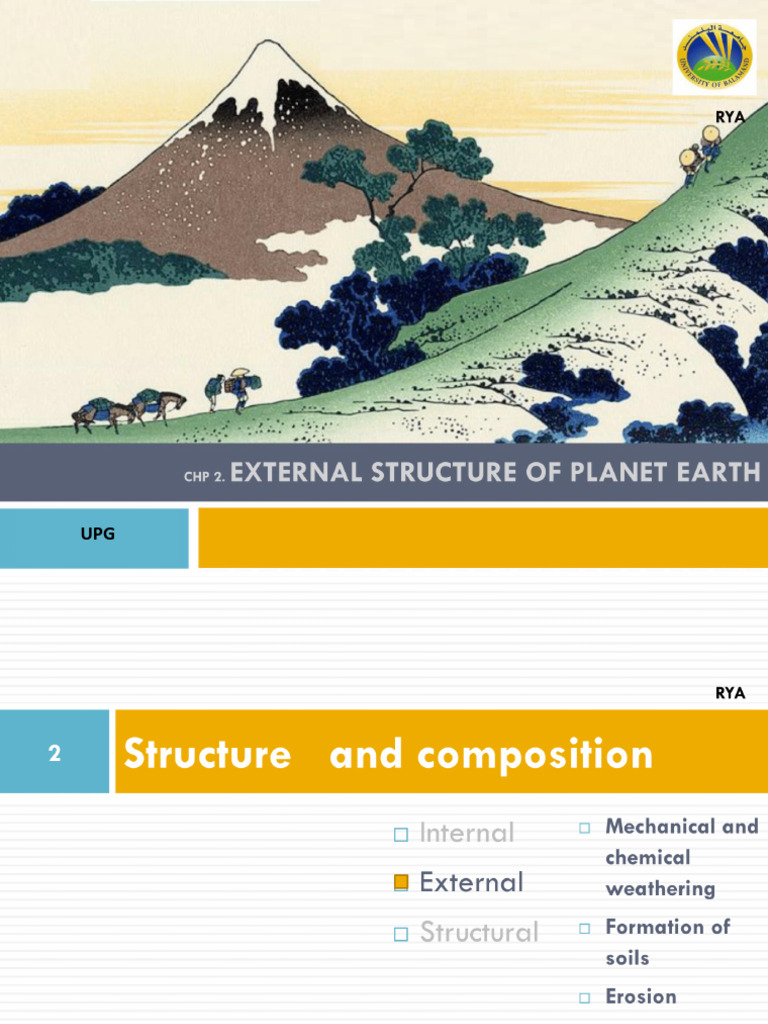 Chp2.External Structure | PDF