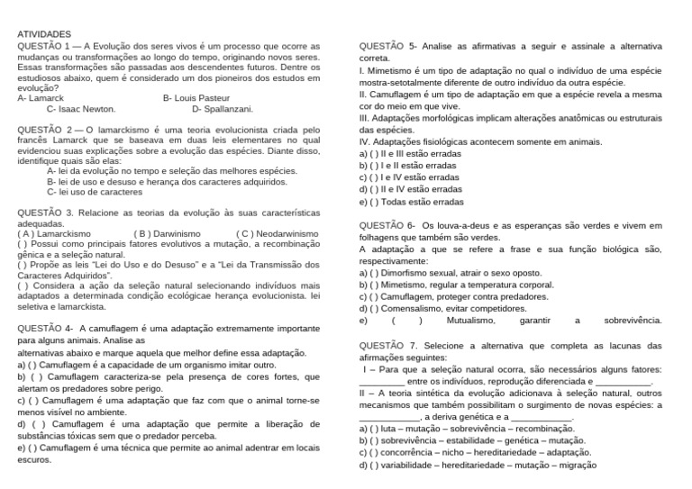 ATIVIDADES 9 Ano Imprimir | PDF