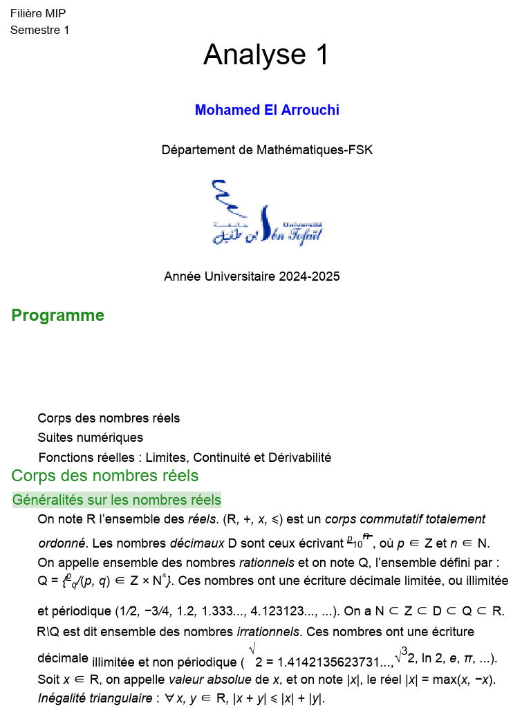 Chap1 Ana1 MIP | PDF