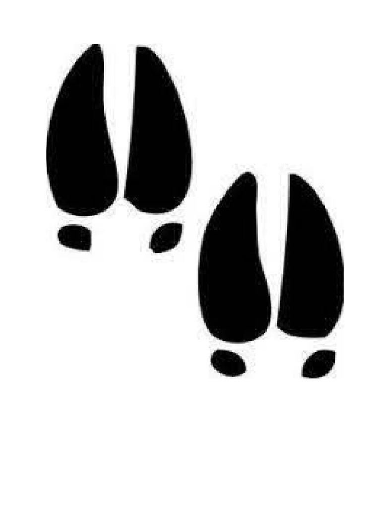 Impressao Patas Do Alce | PDF
