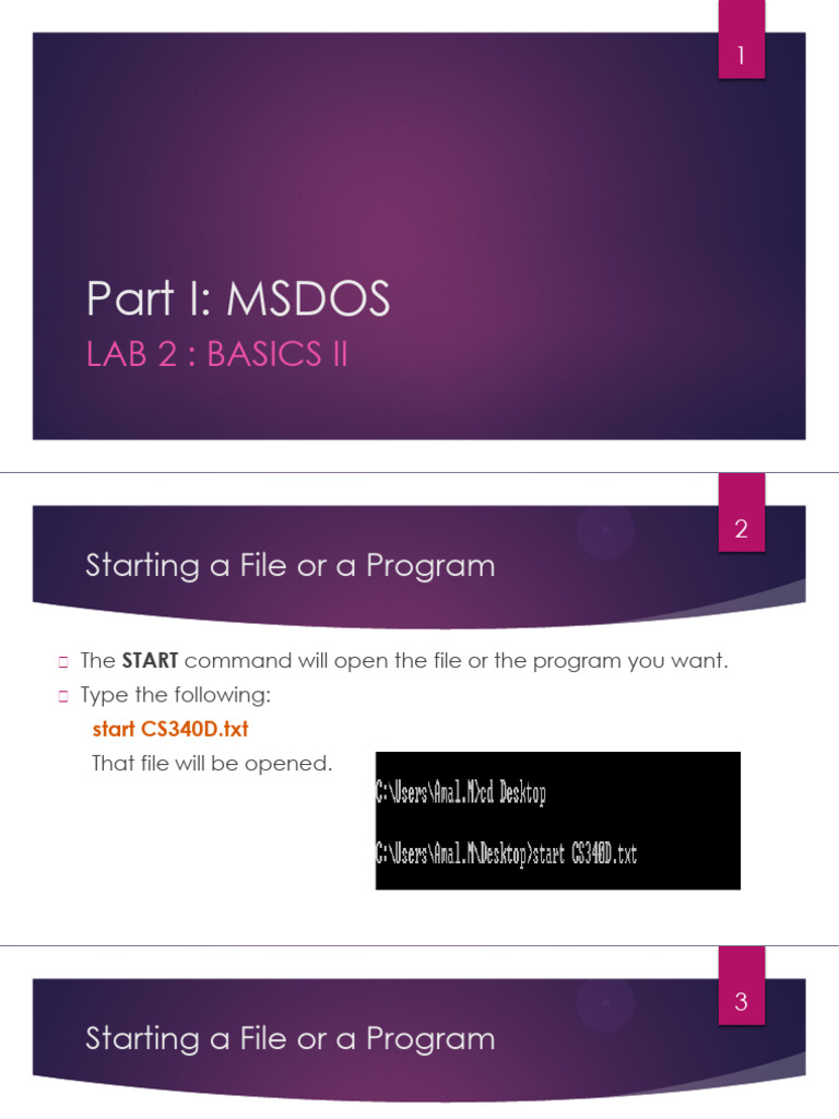 Lab 2 - MSDOS Basics | PDF