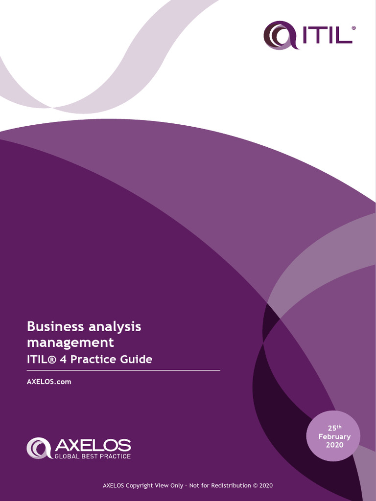 Practice Business-Analysis | PDF