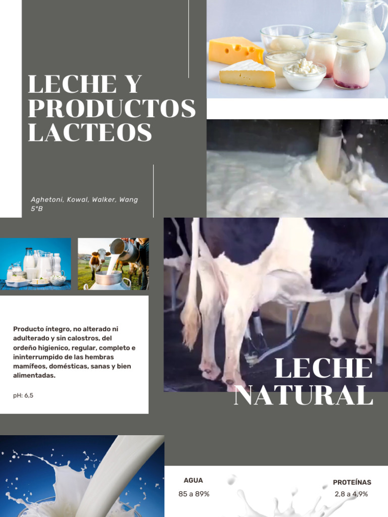 LECHE Y PRODUCTOS LACTEOS | PDF