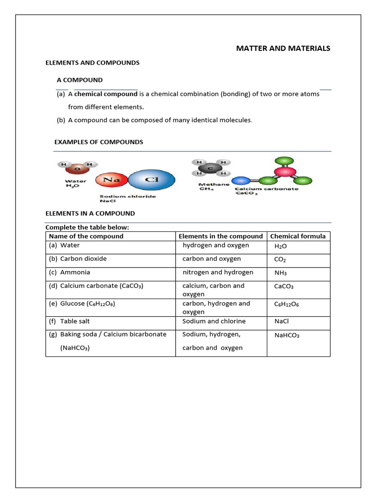 NS Grade 9 Term 2 2023 Teacher Guide | PDF