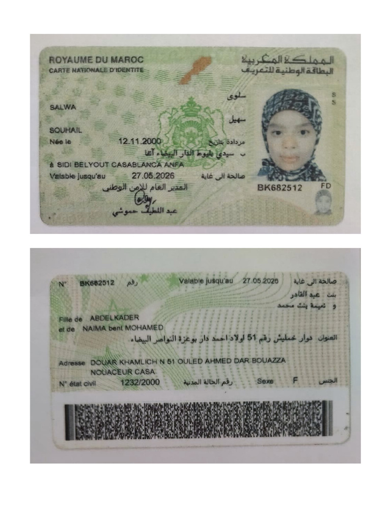 C. Saloua Souhail | PDF