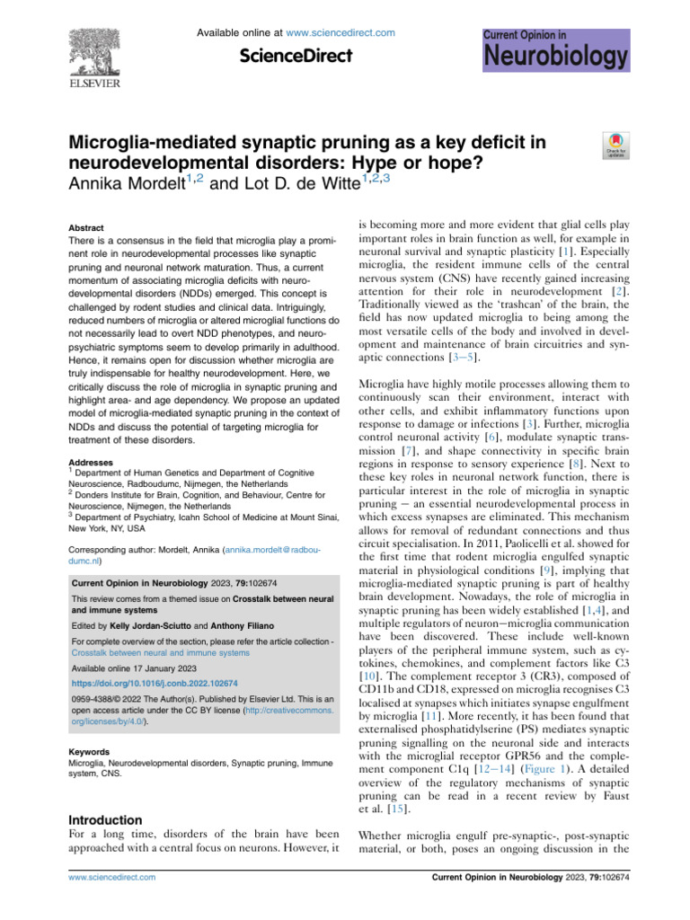 2023 Microglia-Mediated Synaptic Pruning As A Key Deficit in ...