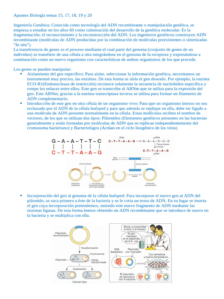 Apuntes Biología Temas 17 | PDF