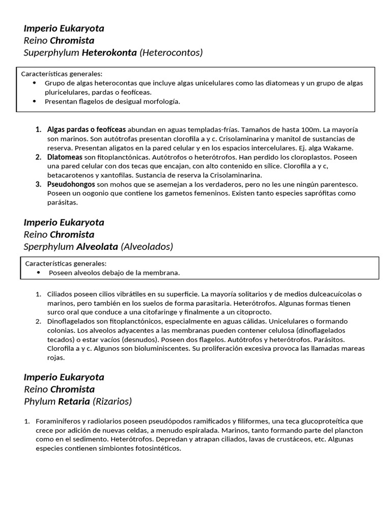 Imperio Eukaryota Reino Chromista | PDF