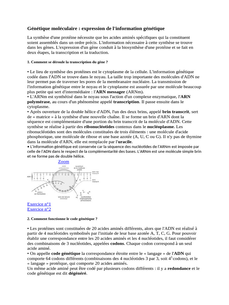 Expression de L'information Génétique | PDF