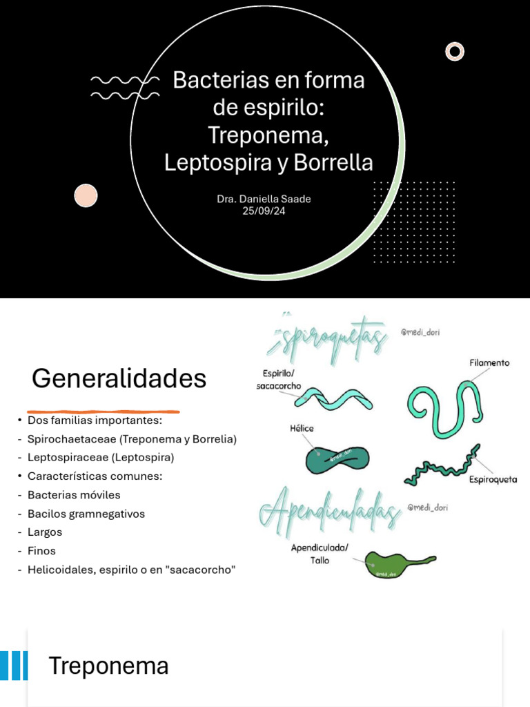 Tema 23 Bacterias en Forma de Espirilo | PDF