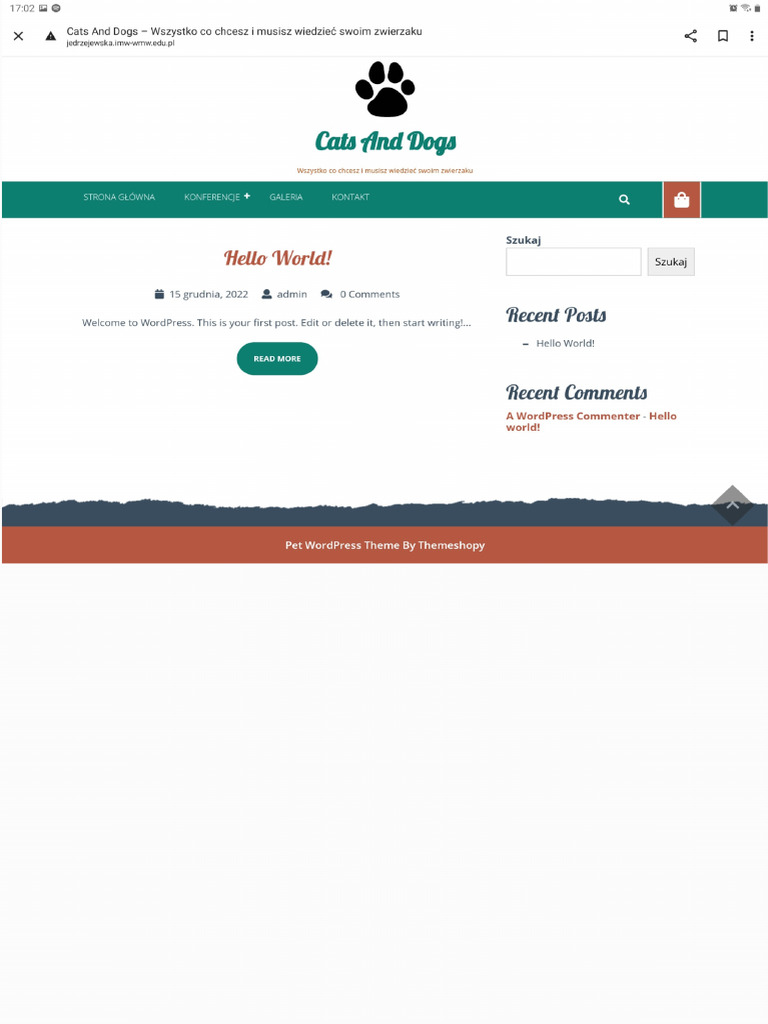 Strona Tytułowa Weronika Jędrzejewska | PDF