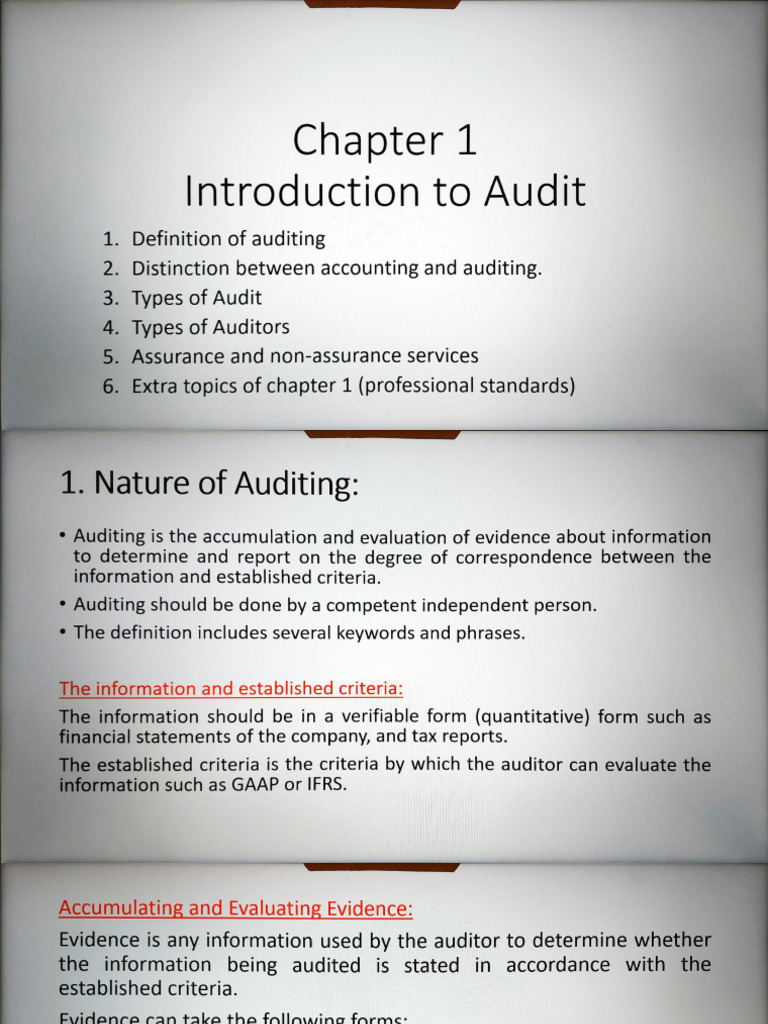 Audit Lec 1 | PDF