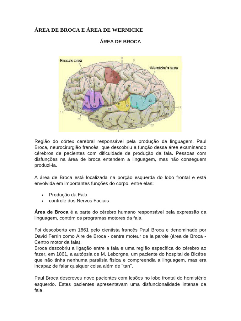 Área de Broca e Área de Wernicke | PDF