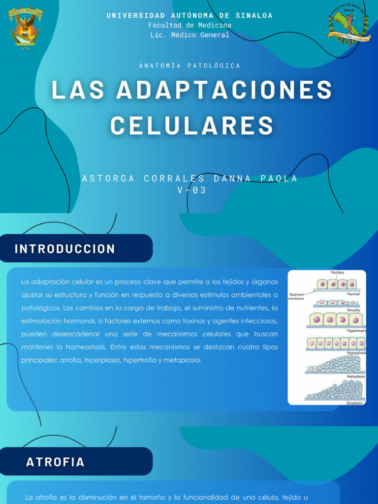 Las Adaptaciones Celulares | PDF