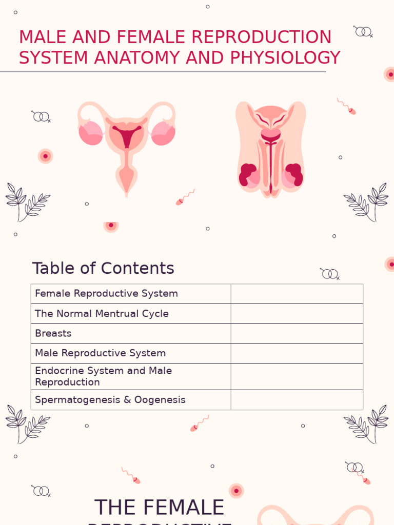 CHAPTER_4_MALE_FEMALE_REPRODUCTIVE_ANATOMY_AND_PHYSIOLOGY | PDF