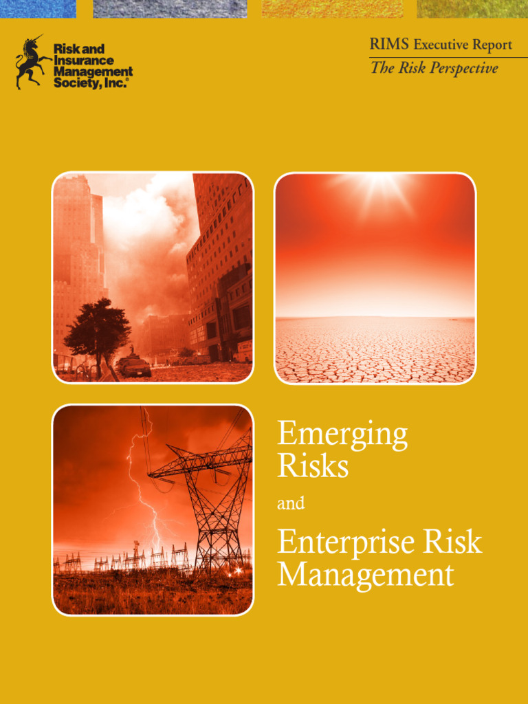 Emerging Risks in Enterprise Risk Management | PDF | Risk | Risk Management