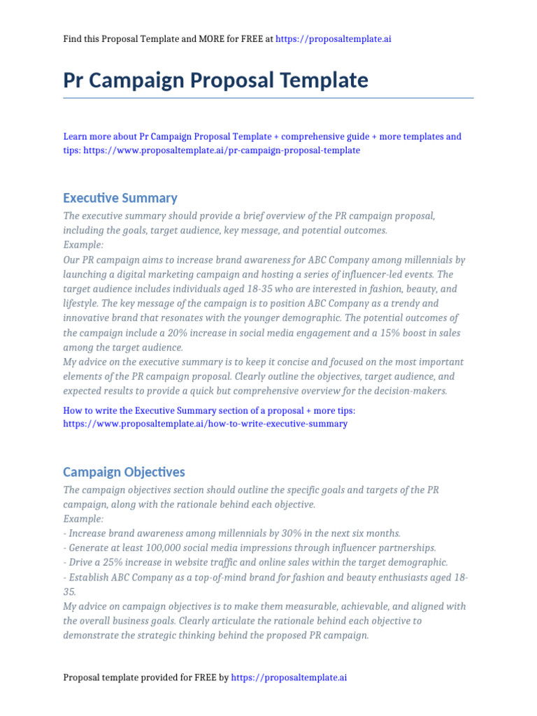 PR Campaign Proposal Template Free | PDF