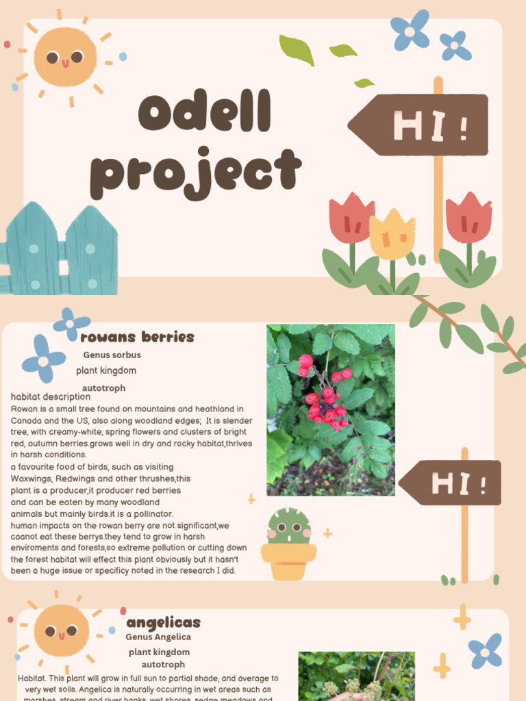 Cream Cute Kawaii Group Project Presentation | PDF | Meadow | Science ...