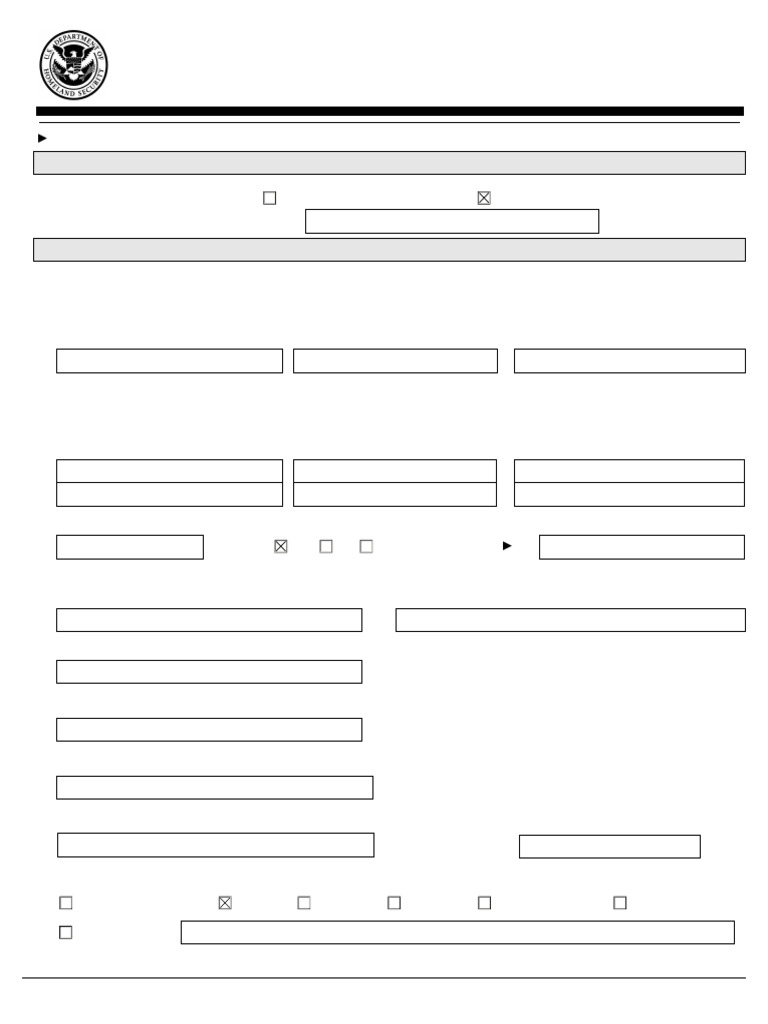 Form I-134A: Financial Support Declaration | PDF | United States ...