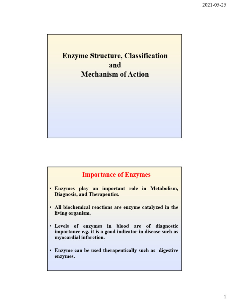 Ennzyme Structure, Classification and Mechanism of Action | PDF ...
