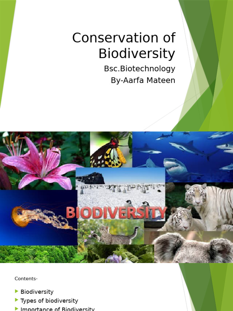 Conservation of Biodiversity-1 | PDF
