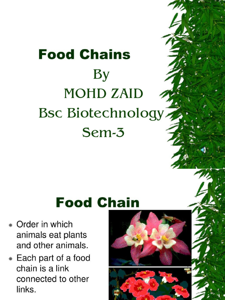 MOHD ZAId-3 | PDF