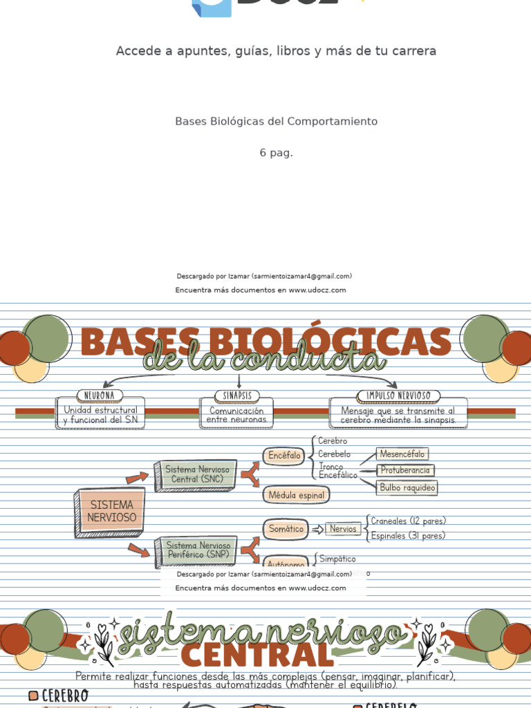 flashcards-bases-bio-345286-downloadable-7099012 | PDF