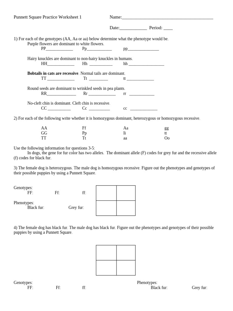 Punnett Square Ws Use 2 | PDF Punnett Square Ws Use 2 | PDF