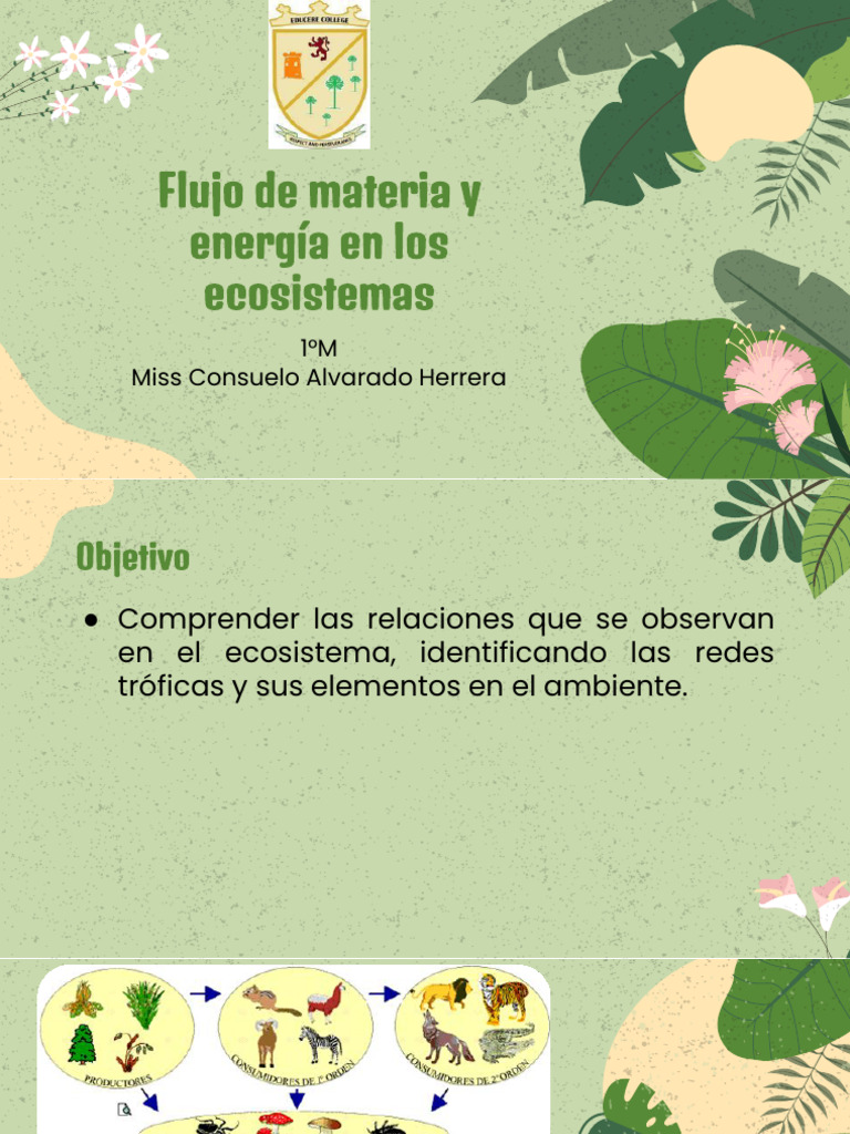 Flujo de Materia y Energia en Los Ecosistemas | PDF