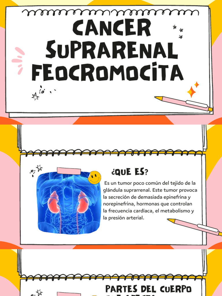 Cancer Suprarrenal | PDF