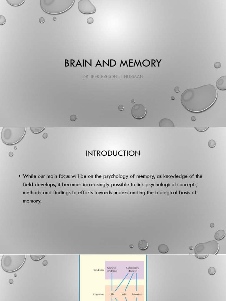 Human+Memory Week 2 | PDF