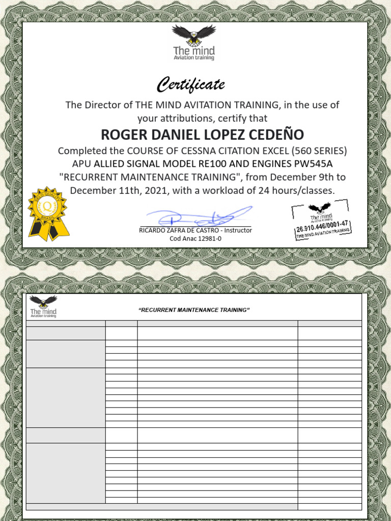Certificados Citation Excel - Roger Daniel | PDF