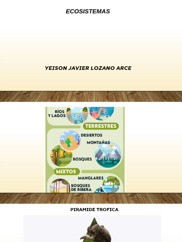 ECOSISTEMAS .PPTX - 20241012 - 194428 - 0000 | PDF