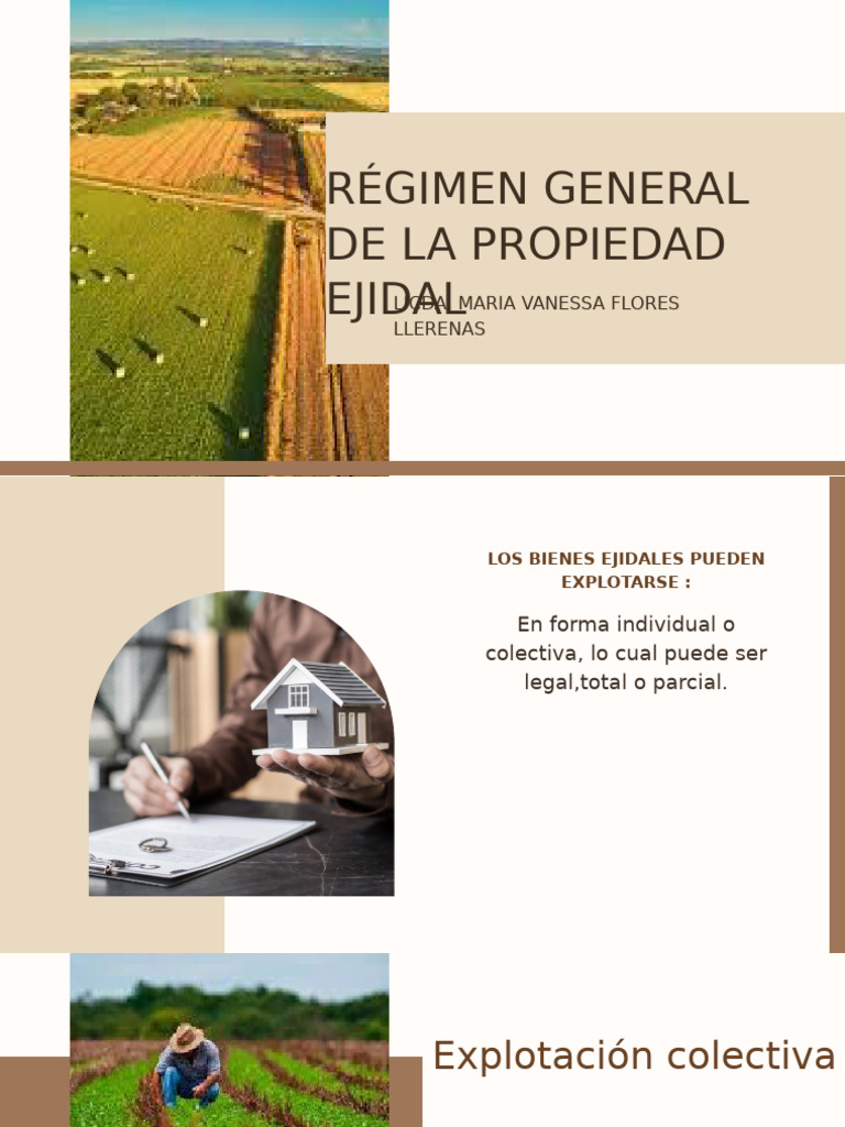 Régimen General de La Propiedad Ejidal Ii | PDF