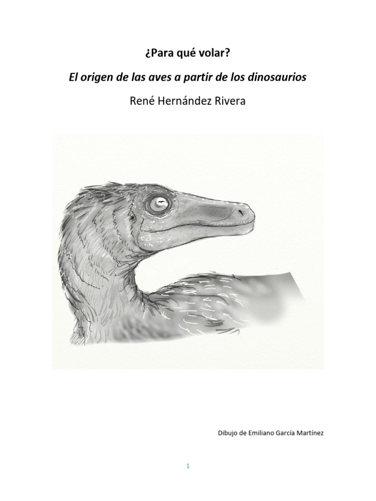 ¿Para Que Volar | PDF | Aves | Ciencias sociales