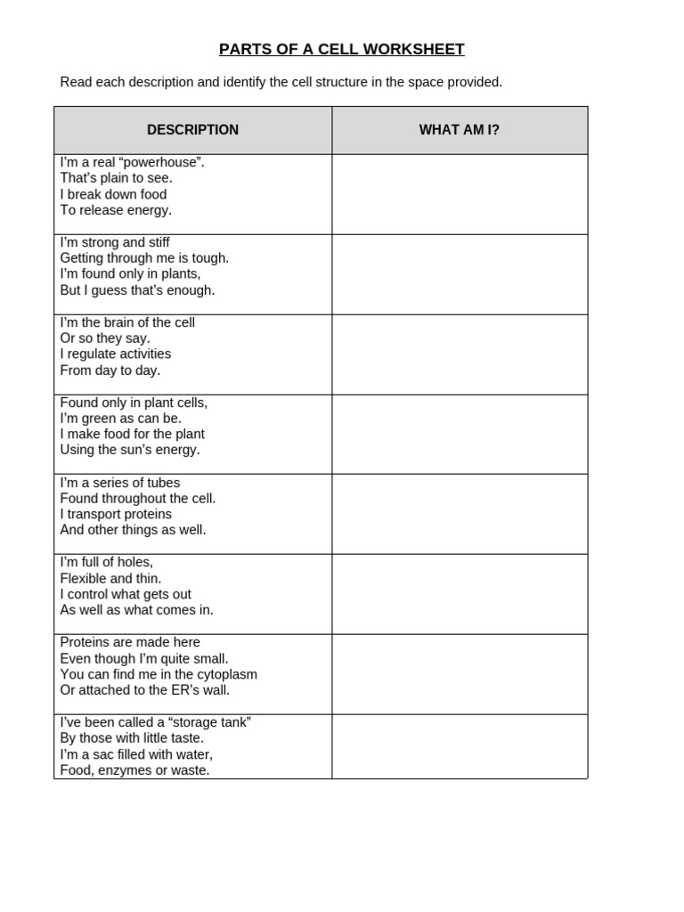 PARTS OF A CELL WORKSHEET and Diagram STUDENT | PDF