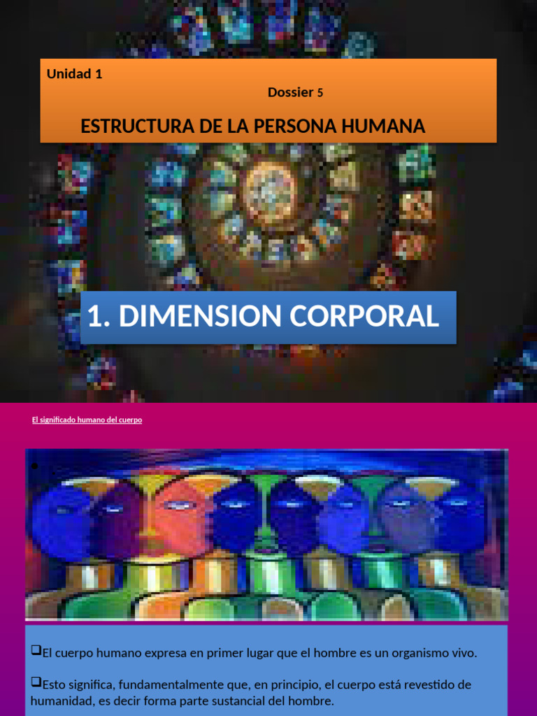 Dimension Corporal: Estructura de La Persona Humana | PDF