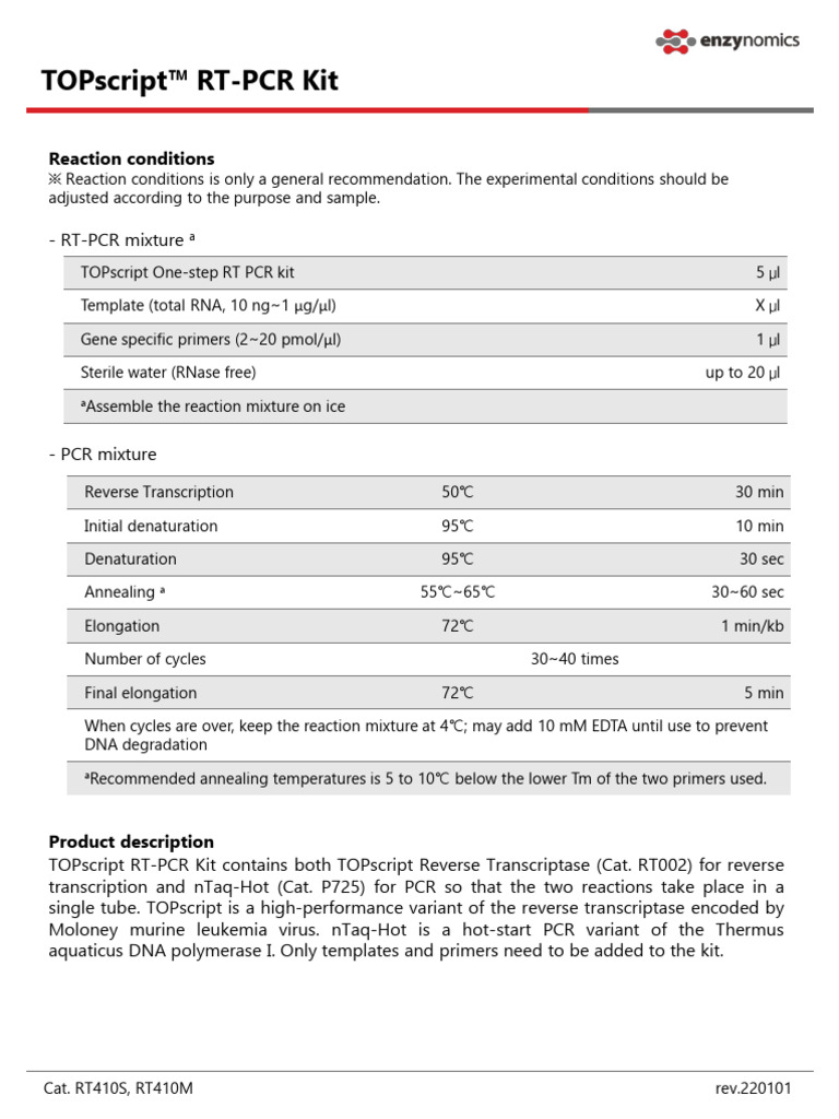 Enzynomics Manual RT410 TOPscript™+RT-PCR+Kit | PDF