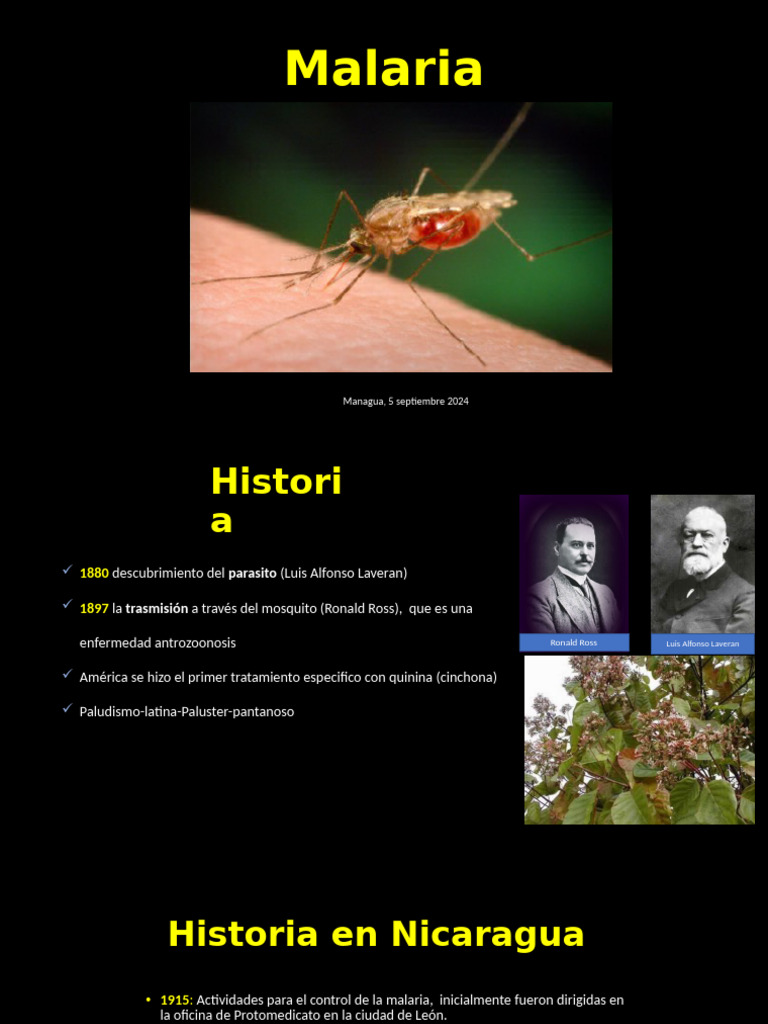 Malaria Actual 5 Septiembre 2024 | PDF | Malaria | Plasmodium
