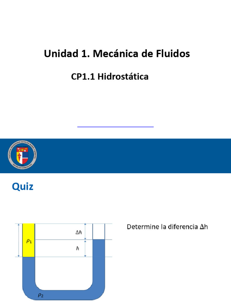 PUCMM FIS-229 - CP1 - 1 v2 | PDF
