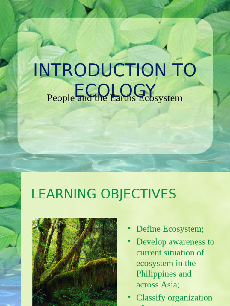 Lesson 4 Ecology | PDF