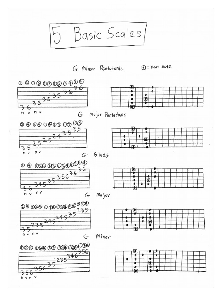 5 Basic Scales | PDF