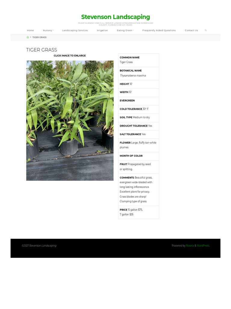 Stevenson Landscaping Tiger Grass | PDF