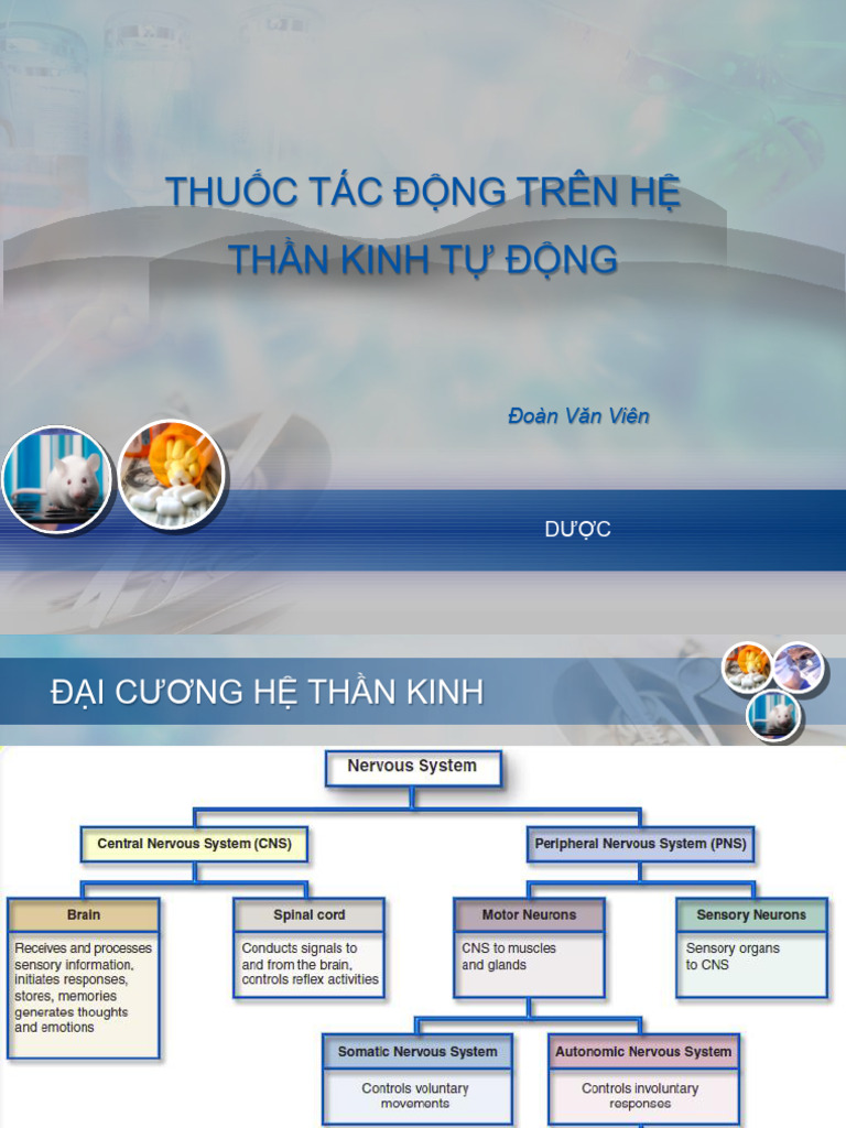 DL1 - Than Kinh Tu Dong - Vien - SV | PDF