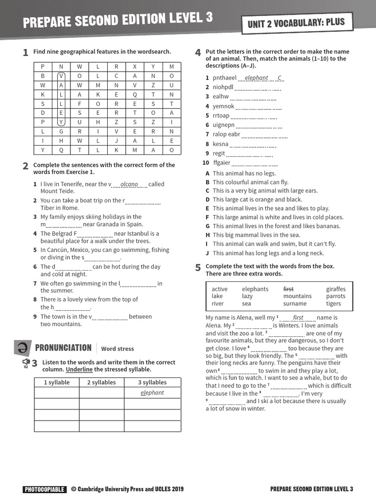 PREPARE 3 Vocabulary Plus Unit 02 | PDF
