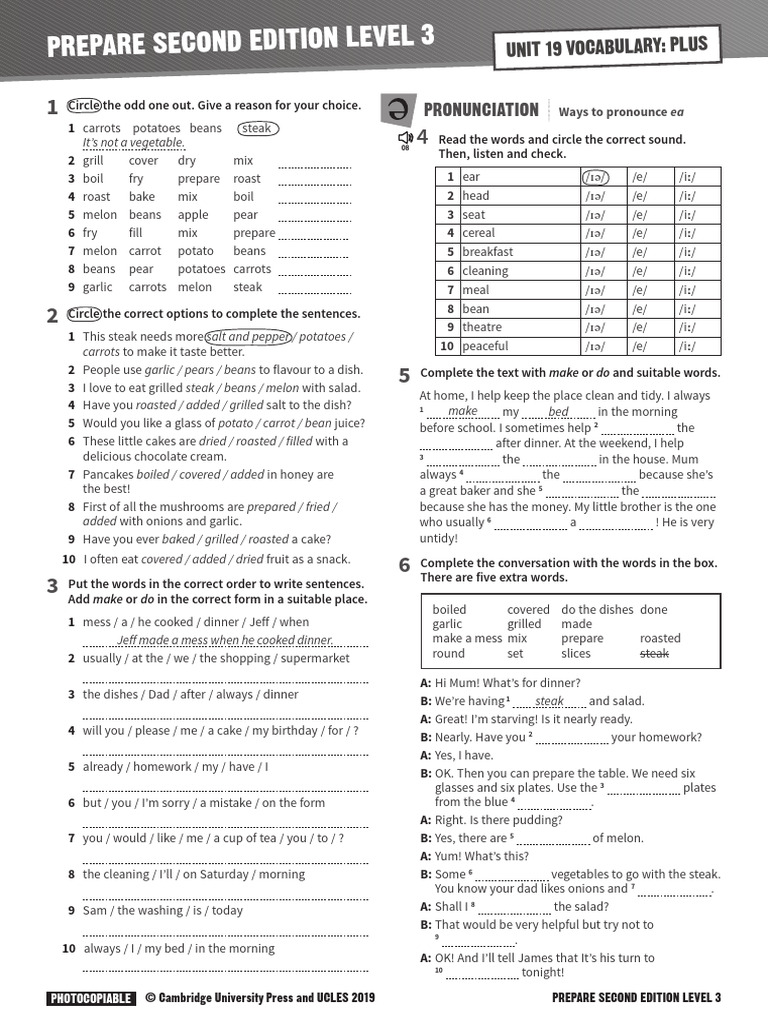 PREPARE 3 Vocabulary Plus Unit 19 | PDF