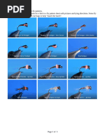 7mm-PRC Saami | PDF | Cartridge (Firearms) | Ammunition