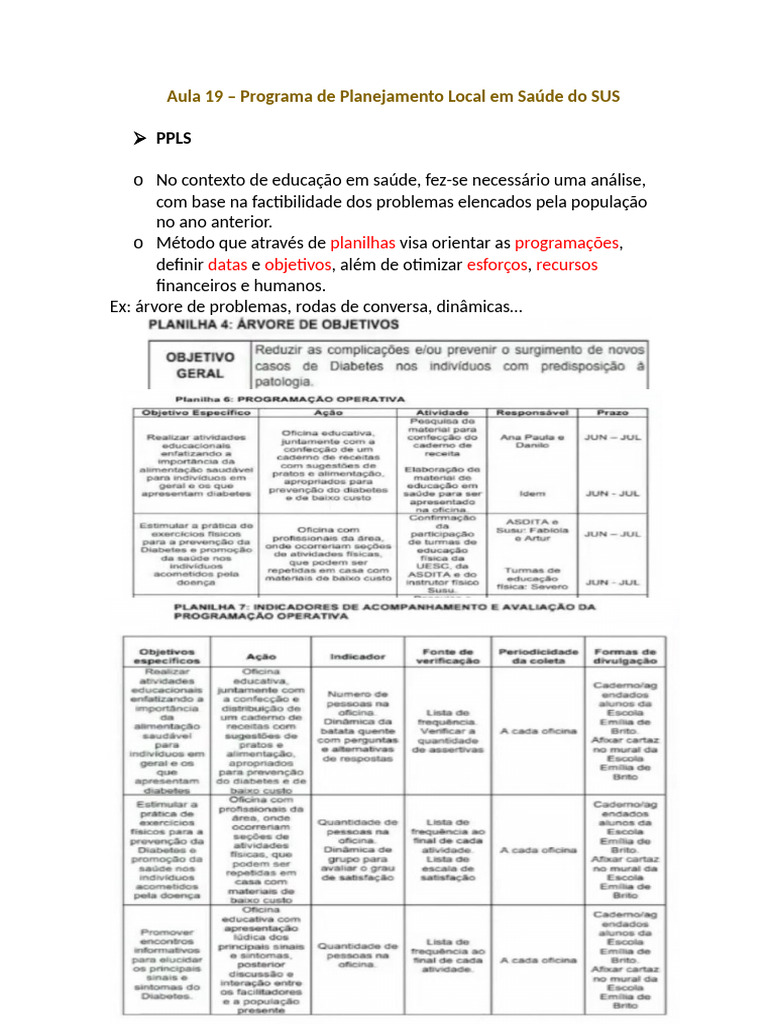 Aula 19 - Programa de Planejamento Local em Saúde Do SUS | PDF