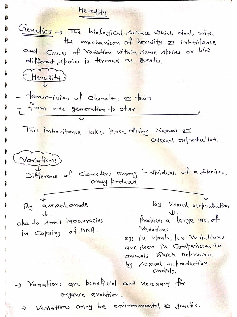Heridity Class 10 | PDF
